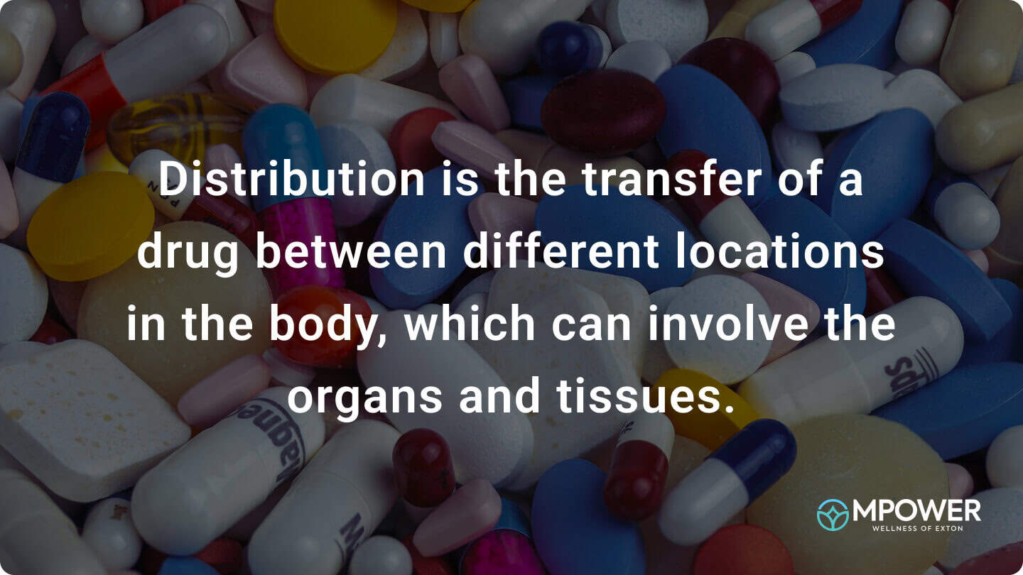 How Do Drugs Work? | How Drugs Work in the Body Guide
