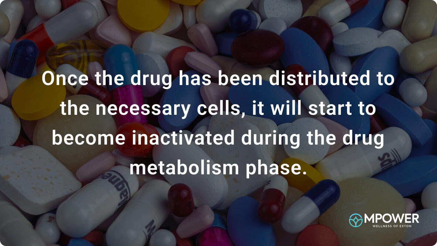 How Do Drugs Work? Ultimate Guide - Mpower Wellness