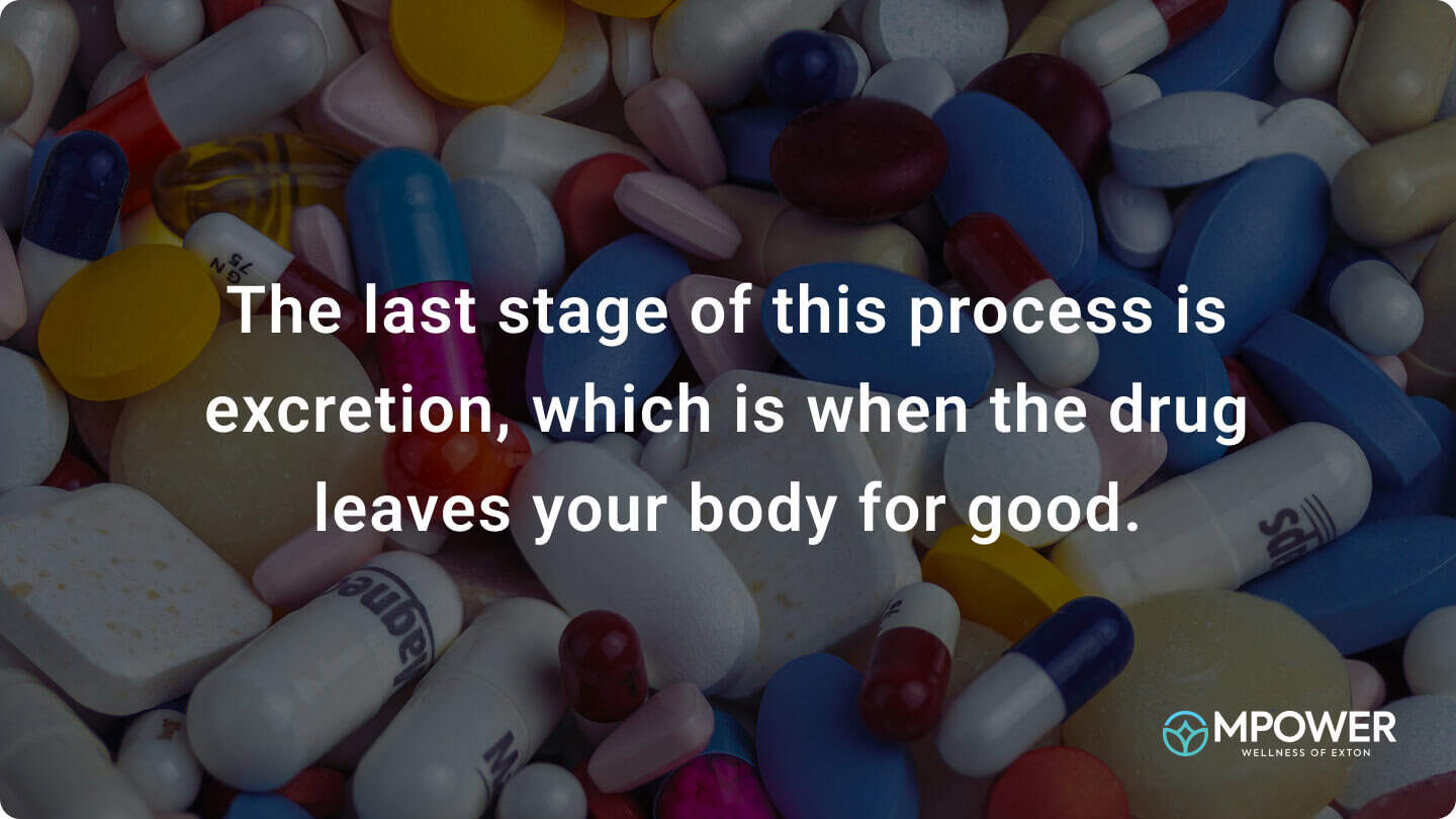 How Do Drugs Work? Ultimate Guide - Mpower Wellness