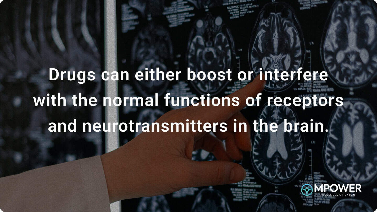 How Drugs Affect the Brain: Short & Long-Term Impacts